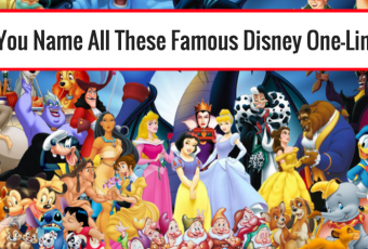 New | Quiz Social