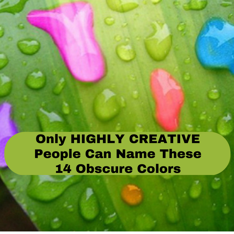 Only Highly Creative People Can Name These 14 Obscure Colors Quiz Social